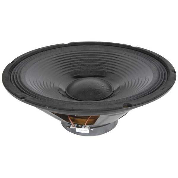 Replacement 12" 300W Bass Speaker Driver Cone | getinthemix.com